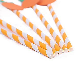 Orange Paper Straws - Biodegradable Disposable Drinking Striped Paper Straws 15 Pieces, Little Cutie Straws, Little Cutie Baby Shower Decorations, Little Cutie Themed Birthday Decorations