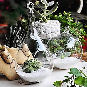 Mkono 2 Pack Glass Hanging Planter Air Fern Holder Terrarium Plants Hanger Vase Home Christmas Decoration Gift Idea for Succulent Moss Tillandsias Air Plants, Globe and Teardrop
