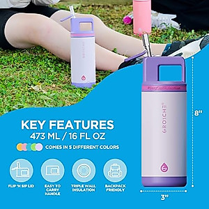GROSCHE Alpine Flip n' Sip 16oz Insulated Kids Water Bottle - Stainless Steel, Leakproof Flask with Straw - Perfect for Gym, Travel & Outdoor Use - Keeps Water Cold upto 60 hrs - Cosmic Purple