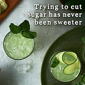 Stevia In The Raw Tablets, Zero Calorie Natural Sweetener, Sugar Substitute for Coffee, Baking, Hot & Cold Drinks, Non-GMO, Vegan, Gluten-Free, Keto, 1-Pack (100 Tablets) (1 Pack)