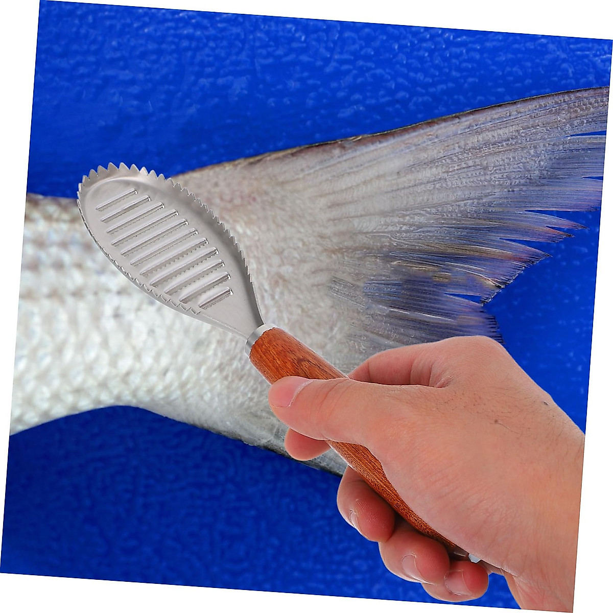 UPKOCH Fish Scaler Fish Scraper Fish Skin Graters Cleaning Fish Peeler Fish Scale Skinner Meat Remover Fish Cleaning Shredder Hand Tools Fish Skin Cleaning Peeler Wood Toothbrush Major