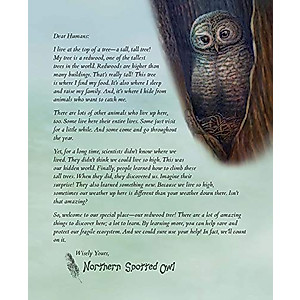 Tall Tall Tree: A Nature Book for Kids About Forest Habitats (A Rhyming Counting Book with STEAM Activities)