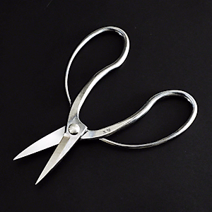 Wazakura Stainless Steel Series Traditional Bonsai Scissors, Made in Japan 7 in (180 mm), Hasami Pruning Shears, Professional Garden Tools (Traditional Stainless Steel)