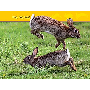 Hop, Bunny! (National Geographic Kids Readers, Pre-Reader): Explore the Forest