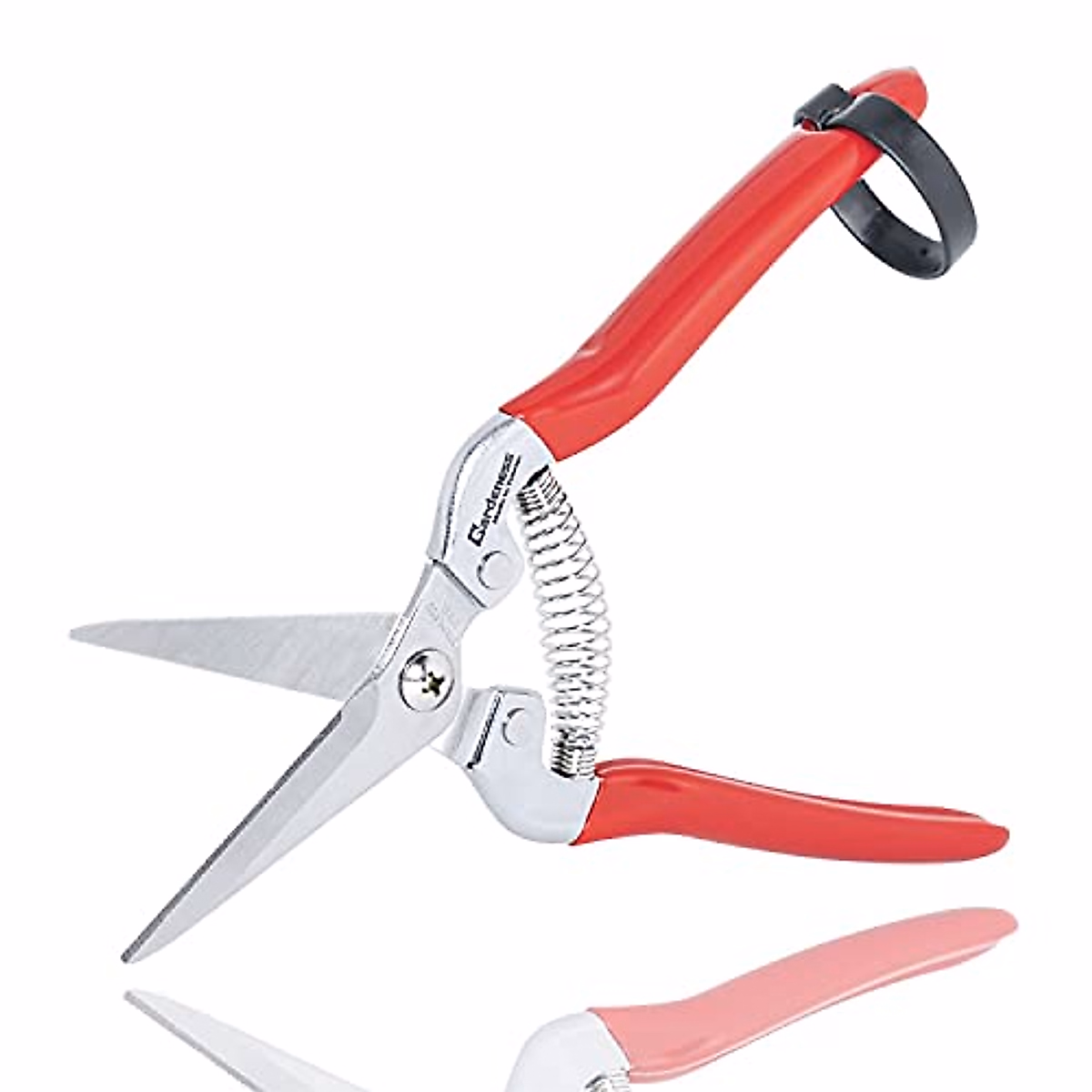 Gardeness Pruning Shear Straight Pruning Snip with Stainless Steel Serrated Blade, Adjustable Joint Screw Micro Tip Garden Scissor for Arranging, Trimming, Harvesting Fruit, Vegetables, Made in Taiwan