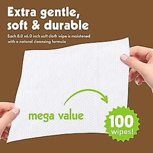 Qarroxi Pet Supplies Plant-Base Grooming Wipes for Ears,Face,Paws,Butt,Body and Eye-Multipurpose Hypoallergenic Dog Wipes 100 Count