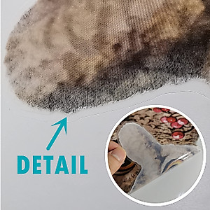 ROFARSO Lifelike Cute Lovely Owl Bird Animal Wall Stickers Removable Wall Decals Peel and Stick Wall Art Decorations Home Decor for Kid Nursery Baby Bedroom Living Room Playing Room Murals