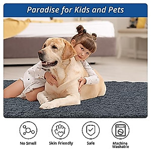 BALAPET Modern Plush Area Rug 8x10, Ultra Soft Large Faux Fur Area Rug for Bedroom Living Room, Non-Skid Indoor Carpet for Kids Playroom Home Decor, Solid Grey