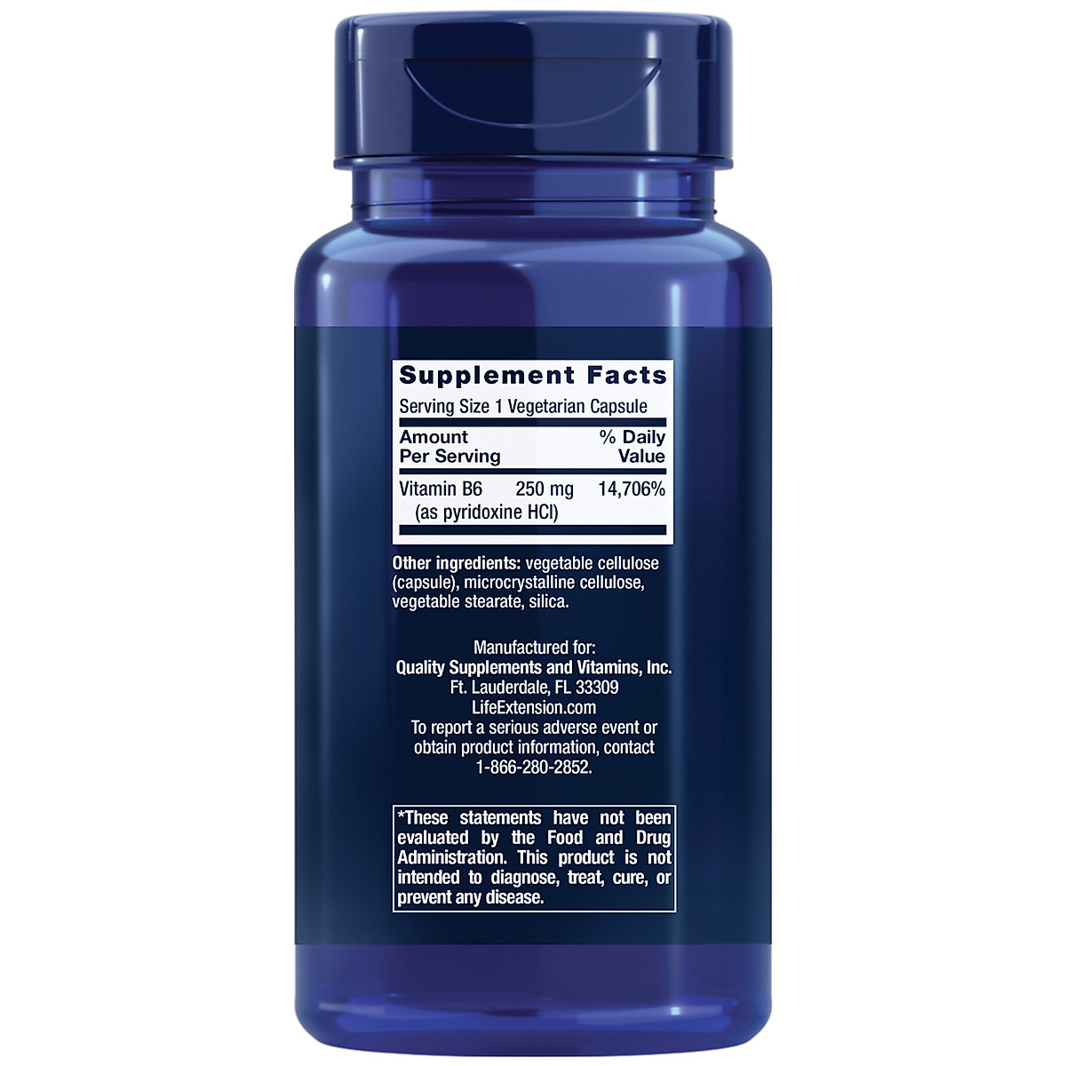 Life Extension Vitamin B6 250 mg – For Cardiovascular & Neurological Health and Kidney & Eye Health - Gluten-Free, Non-GMO – 100 Vegetarian Capsules