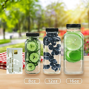 STARSIDE 12 Pack 16oz Glass Drinking Bottles with Lids,Vintage Water Bottles,Reusable Drinking Jars with Lids for Milk,Juicing,Kombucha,Juice