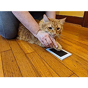 Green Pollywog - Extra-Large Clean Touch Inkless Ink Pad for Pets | Pawprints for Dogs & Cats Non-Toxic | Paw Print Stamp Kit | Dog Paw Print Kit | Cat Footprint Keepsake (2-Pack)