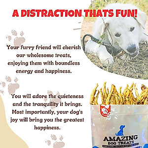 Amazing Dog Treats - Chicken Feet Dog Treats (25 Count) - All Natural Single Ingredient Chicken Feet for Dogs - Premium Quality Chicken Feet Dog Chews - Healthy Dog Treats