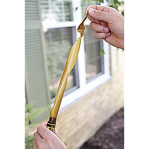 S&T INC. Sticky Fly Trap, Fly Tape, Flying Insect Trap for Indoor/Outdoor, Gnat Trap, 10 Pack, Yellow