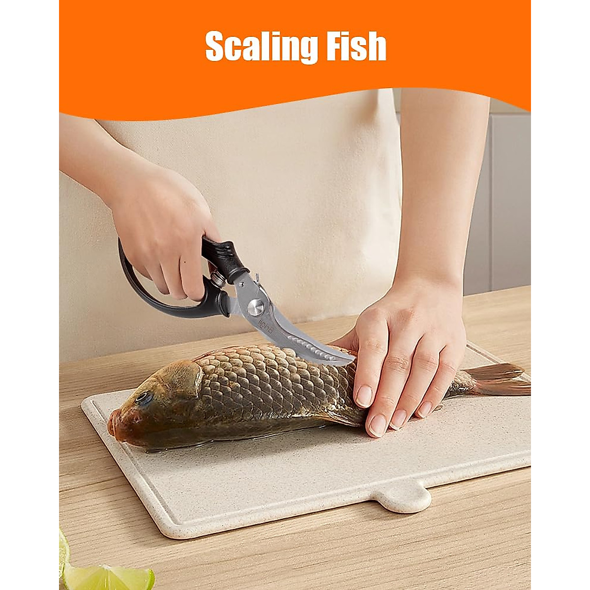 Brigii Kitchen Shears, Stainless Steel Heavy Duty Poultry Shears, Multi-Purpose Kitchen Scissors for Cutting Chicken, Fish, Seafood, and Vegetables, Spring Loaded-Black