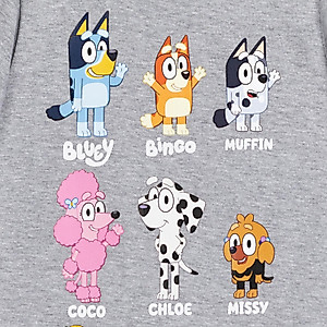 Bluey Bingo Little Girls 2 Pack T-Shirts Blue/Grey 7-8