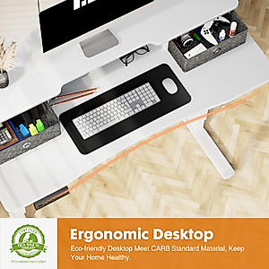 Height Adjustable Electric Standing Desk with Storage Shelf Double Drawer, 48 x 24 Inch Stand up Desk, Sit Stand Desk with Splice Board, Standing Table White Frame/White Desktop for Home Office