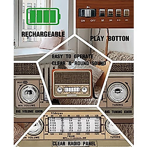 Videyas Portable Shortwave Retro Radio, AM FM Retro Radio, with Bluetooth Speaker, Best Reception, Rechargeable Battery, Torch, AUX TF USB Stick, Great for Outdoor Kitchen Gifts