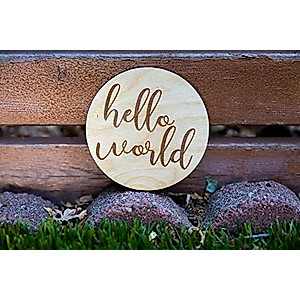 Baby Milestone Wood Circles
