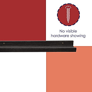 Home Basics 24" Floating Shelves, Wall Shelves for Bathroom, Living Room, Bedroom, Kitchen Decor, Shelves with Invisible Brackets (Onyx)