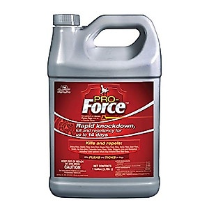Manna Pro Pro-Force Fly Spray | Rapid Knockdown Fly Repellent for Horses |Repels More than 70 Listed Species for up to 14 Days | 1 Gallon
