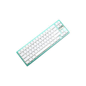 Taihao Cubic Profile Nana De Coco Translucent Backlit Doubleshot keycaps for DIY gaming mechanical keyboard oem profile Forested (NanaDeCoco Forested Keycap)