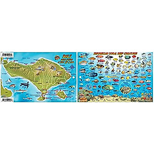 Bali Indonesia Dive Map & Coral Reef Creatures Guide Franko Maps Laminated Fish Card