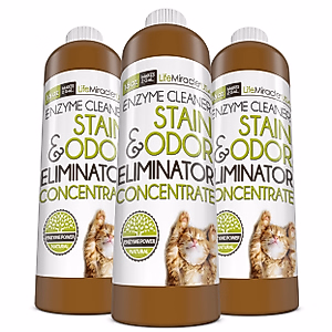 Life Miracle Enzyme Cleaner & Pet Odor Eliminator CONCENTRATE | Deep Cleaning Enzymatic Spot Remover for Dog Cat Urine, Rug, Carpet, Upholstery, Couch, Car Stains & Smells | Makes 2 GALLONS