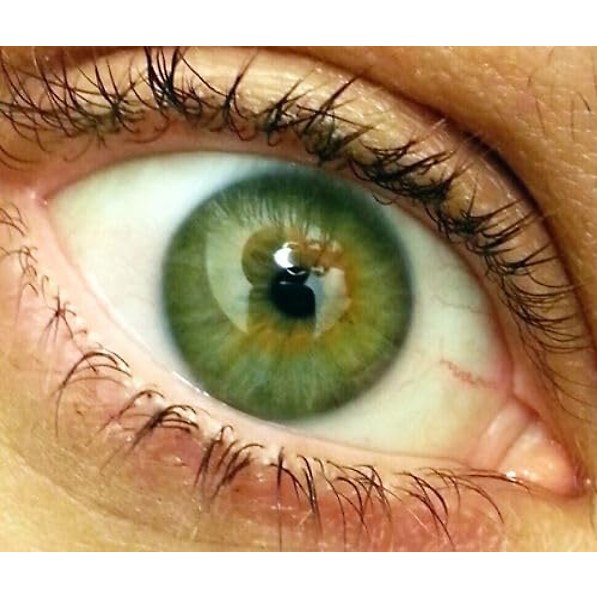 58MM Extreme Sports FISHEYE Lens .X15 for Canon EOS Rebel T2 T3 T4 T5 T6 20D T7 70D