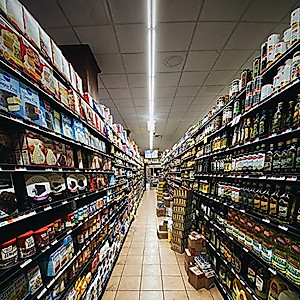 10 Pack LED Shop Light 4FT, T5 Integrated Single Fixture, 22W, 2200lm, 6500K Super Bright White, Linkable Shop Light, Utility Shop Lights, Corded Electric W/Built-in ON/Off Switch