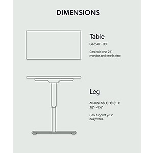 FLEXISPOT Standing Desk 48 x 30 Inches Height Adjustable Electric Sit Stand Home Office Desks Whole Piece Desk Board (Black Frame + Black top,2 Packages)