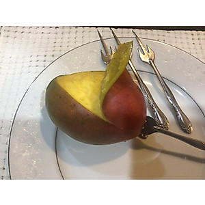 Mango Forks set of 4