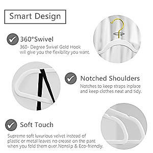 MIZGI Premium Velvet Hangers Pack 50 Pcs Heavy Duty - Non Slip Slimline - Velvet Suit Hangers White - Gold Hooks,Space Saving Clothes Hangers