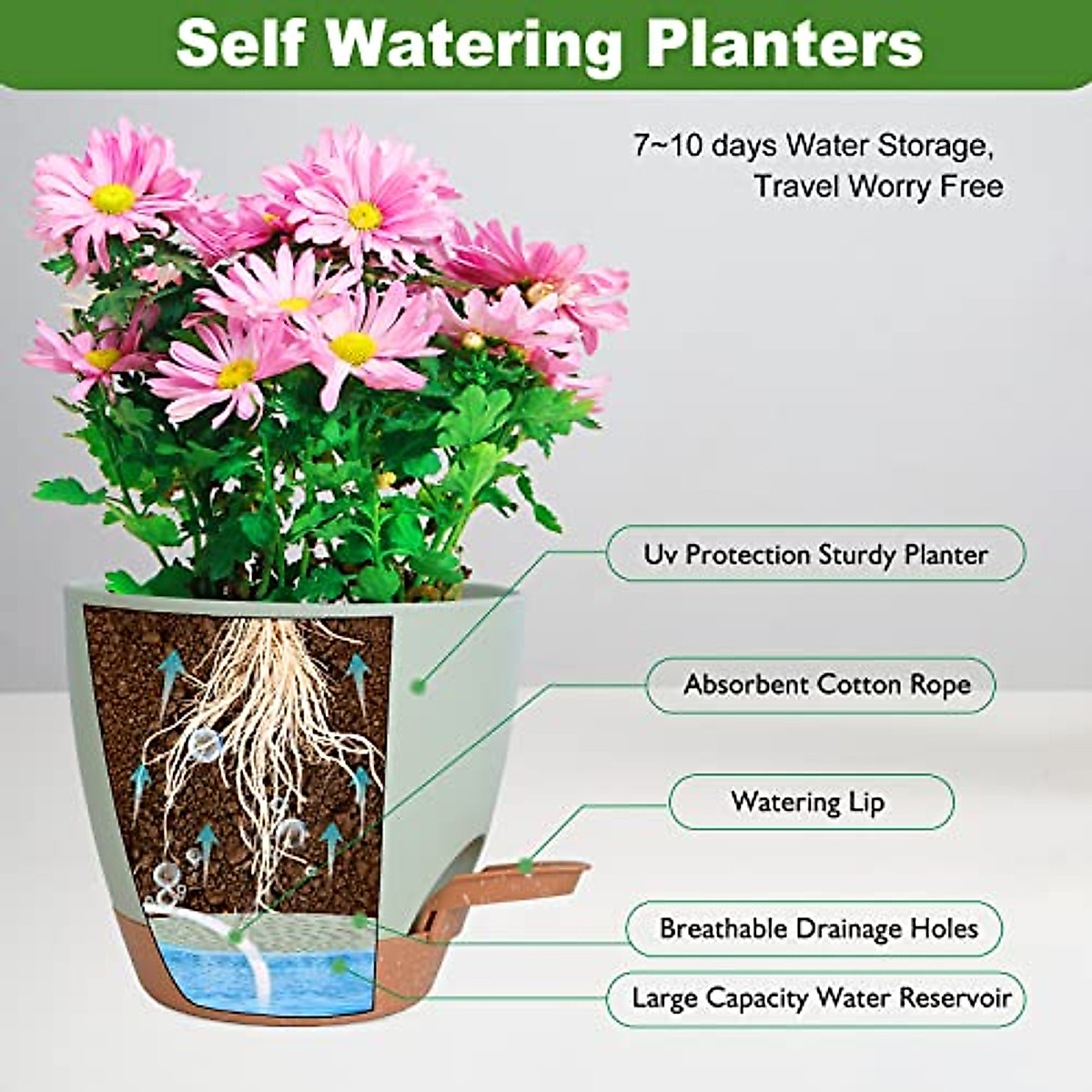 Vanslogreen Plant Pots Indoor 7/6.5/6/5.5/5 Inch Self Watering Planters for Indoor Plants with Drainage Hole, Plastic Flower Pot for Succulents, African Violet (Green)