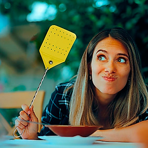 Insectifuge Leather Fly Swatter 2 Pack with 5 Window Fly Traps - Heavy Duty Fly Swatter Manual, Retractable Fly Swatter for Indoors Outdoors, Large Fly Swatters Multi Pack Long Handle, MATA Moscas