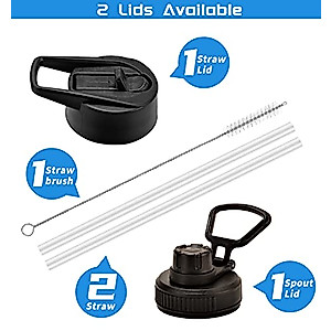 Farsea Insulated Water Bottle with Straw Lid & Spout Lid & Paracord Handle, Stainless Steel Water Bottle Wide Mouth, Double Wall Sweat-Proof BPA-Free, 18 oz, Black