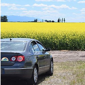 CHUBBYCHEEKS Baby on Board Magnet Sign for Car, Water Resistant, Weather Resistant with UV Protected Film (Rainbow)