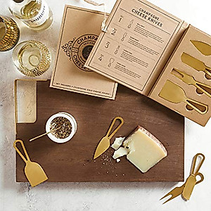 Santa Barbara Design Studio Gift Set Kitchen Essentials TableSugar Kraft Cardboard Book Gift Box, 4-Pieces, Champagne Gold Cheese Knives
