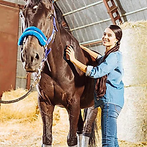 Horse Grooming Kit Blue Tote - 9pcs Horse Care Kit with Multi-Function Brushes & Curry Combs, Sweat Scraper, Hoof Pick, Hoof Knife for Horse Kit Horse Cleaning Tool Set Equine Grooming Portable
