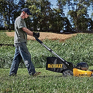 DEWALT DPG94-1D Dominator SAFETY Glasses, Clear Lens