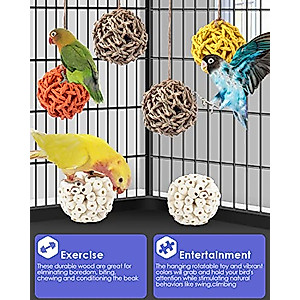 Bissap 6PCS Small Parrot Chew Toys, Sola Balls Parrot Chewing Foraging Toys Colorful Bird Foot Balls for Cockatiels Conures Cockatoos Parakeets Love Birds Small Parrot Cage Bite Toys