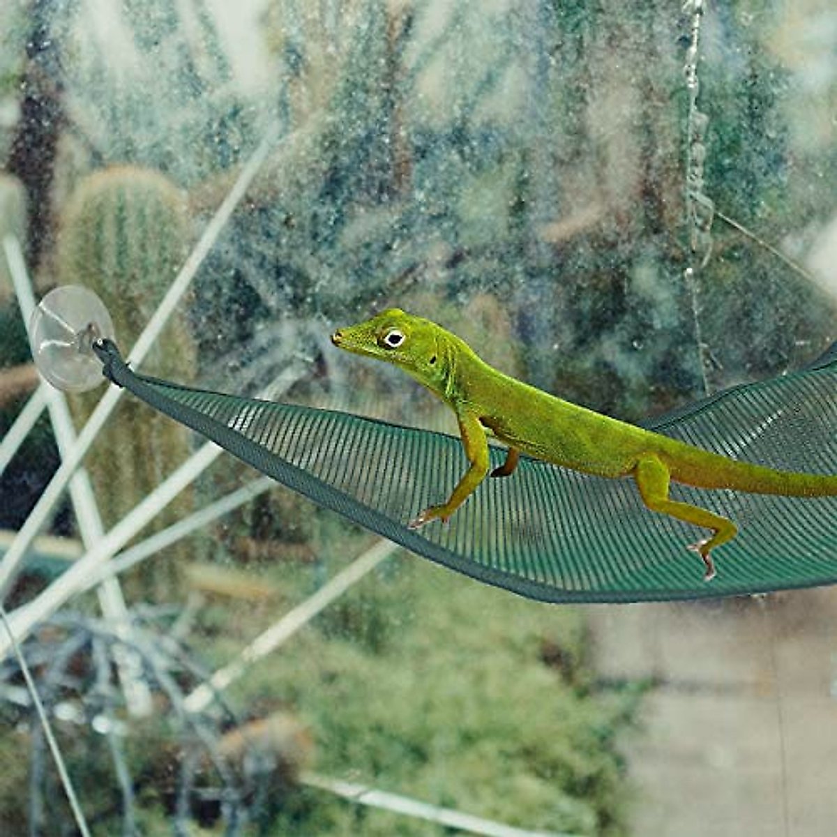 KUDES Bearded Dragon Hammock, 2 Pack Reptile Hammock Lounger Ladder Lizard Hanging Bed House Cage Accessories Reptile Terrariums Habitat Decoration for Bearded Dragons Geckos Lizards Reptile Snakes