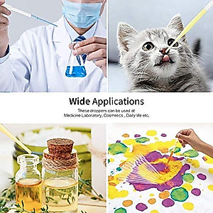 WangJia 3ml Plastic Transfer Pipettes Eye Dropper Pack of 30 - Dropper Makeup Tool