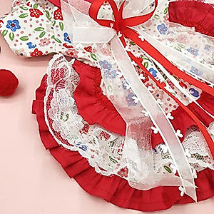 Worparsen Pet Princess Dress Bowknot Dress Up Bright Color Floral Print Pet Cats Dogs Princess Dress Lolita Clothes with Cherry Hair Clip Pet Supplies Red XS
