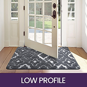 DEXI Door Mats Indoor, Absorbent Non Slip Front Door Rugs for Inside House, Low Profile Easy Clean Entrance Mat, 48"x32", Grey