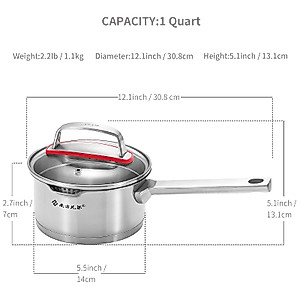 NANFANG BROTHERS Stainless Steel Saucepan with Glass Lid, Professional Small Sauce Pan Milk Pot with Cover, 316 Stainless Steel Composite Copper Cooking Pot, 1 Quart Kitchen Cookware Classic Silver