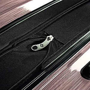 Samsonite Winfield 2 Hardside Expandable Luggage with Spinner Wheels (Artic Pink, 2-Piece Set (20/28))