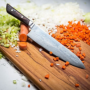 Chef Knife Making Kit – Featuring VG-10 Damascus Steel, Stylish Micarta Handles, Rasps, Files, Portable Bench Vise & More – Includes Step-by-Step Knife Making Guide