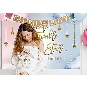 Lofaris Twinkle Twinkle Little Star Gender Reveal Backdrop Boy or Girl Pink or Blue How We Wonder What You are Golden Star Party Decoration Photography Background Cake Table Banner Wallpaper 7x5ft