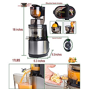 Masticating Juicer,Whole Slow Juicer Extractor by Vitalisci,Cold Press Juicer Machine,Anti-Oxidation for Fruit and Vegetable,Easy to Clean and BPA Free,(300W AC Motor/3.15" Wide Chute/40 RPMs)-Silver