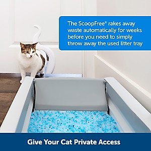 PetSafe ScoopFree Self Cleaning Cat Litter Box & Cat Corridor - Interior Cat Door Keeps ScoopFree Litter Box Hidden From Guests and Dogs - Private Access For Your Cat - Never Scoop Litter Again